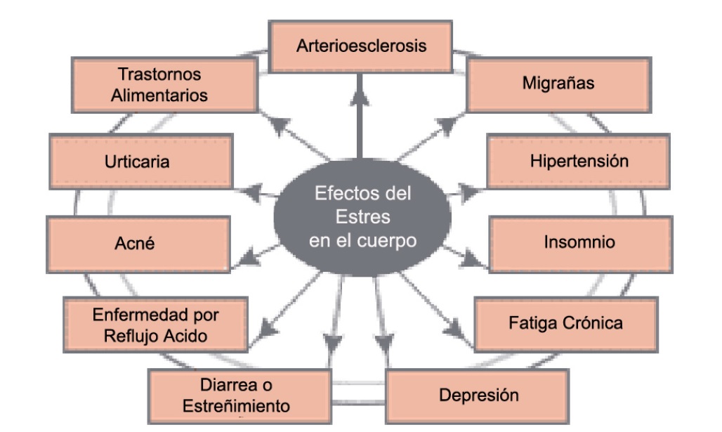 El estrés: aliado y enemigo – Balta Santos